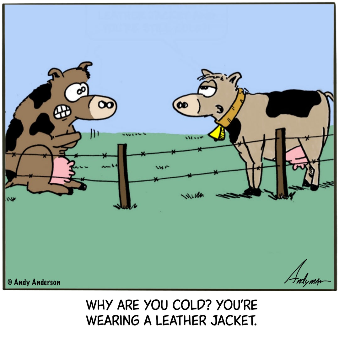 Cartoon/Meme about cold cows – Andy Anderson Cartoons