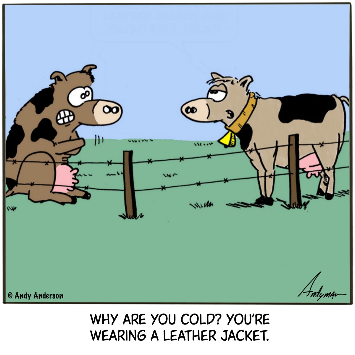 Cartoon/Meme about cold cows – Andy Anderson Cartoons